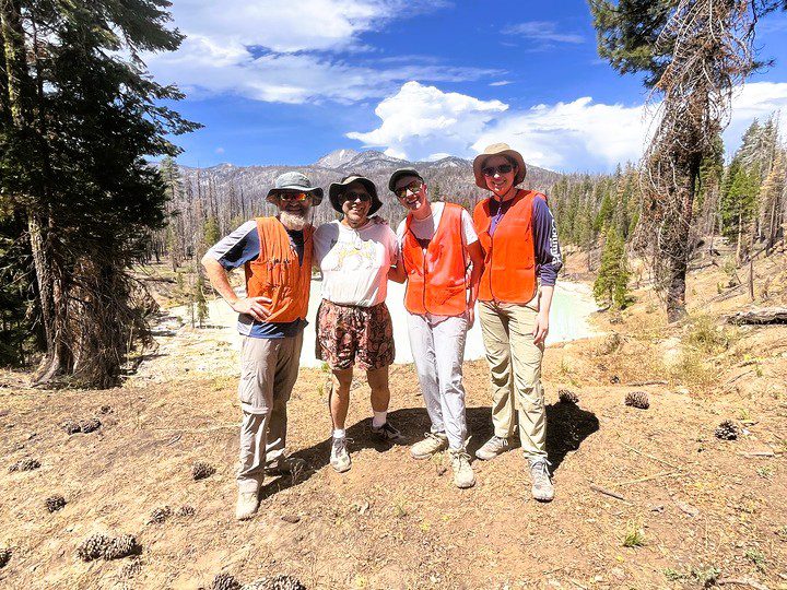 Researchers discover ‘fire amoeba’ at Lassen Park | The Plumas Sun